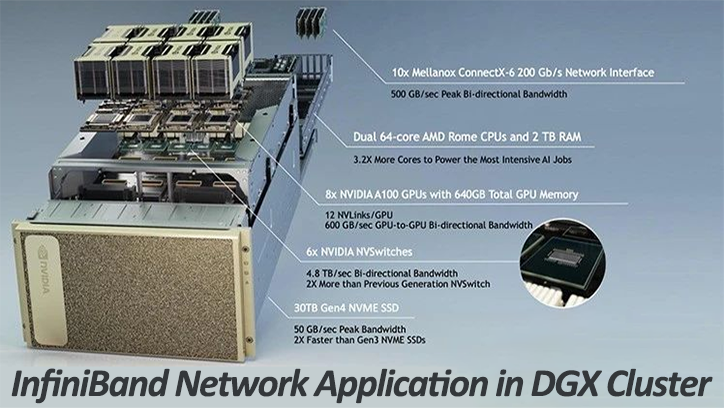InfiniBand Network Application in NVIDIA DGX Cluster: A Comprehensive ...